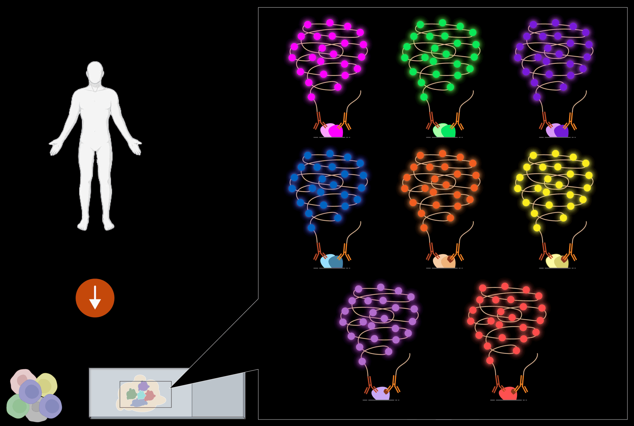 Naveni® Plex Omni Service – The Future of Spatial Interactomics